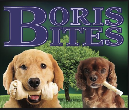 Hondstrouwe sponsor Borisbites nu ook op LED-boarding - v.v. Sparta Nijkerk